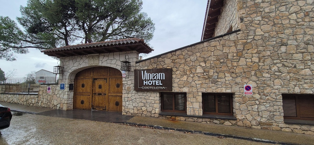 Vineam Hotel - La Muela