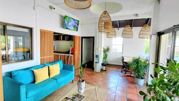 Quarto com sofá azul, televisão, luminárias de vime suspensas e plantas em vasos.