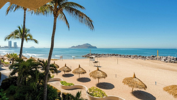 Vista da praia com palmeiras, guarda-sóis de palha e céu azul límpido.