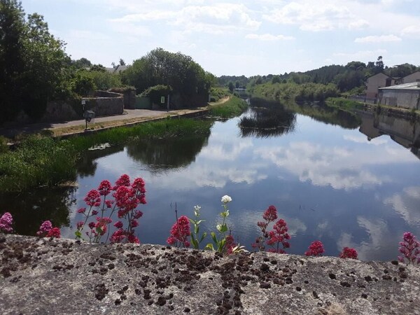 Mattys Pub & Apartments - Ierland
