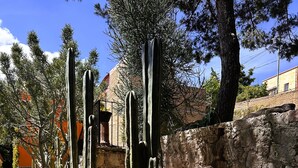 Um muro de pedra com cactos e um caminho de pedras.