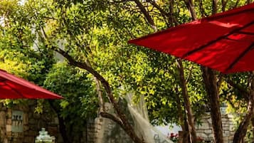 Jardim