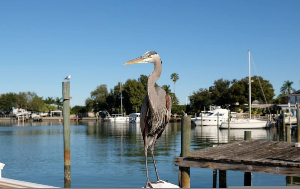 Villa Capri - Waterfront Luxury Home - Punta Gorda Fl - Punta Gorda, FL