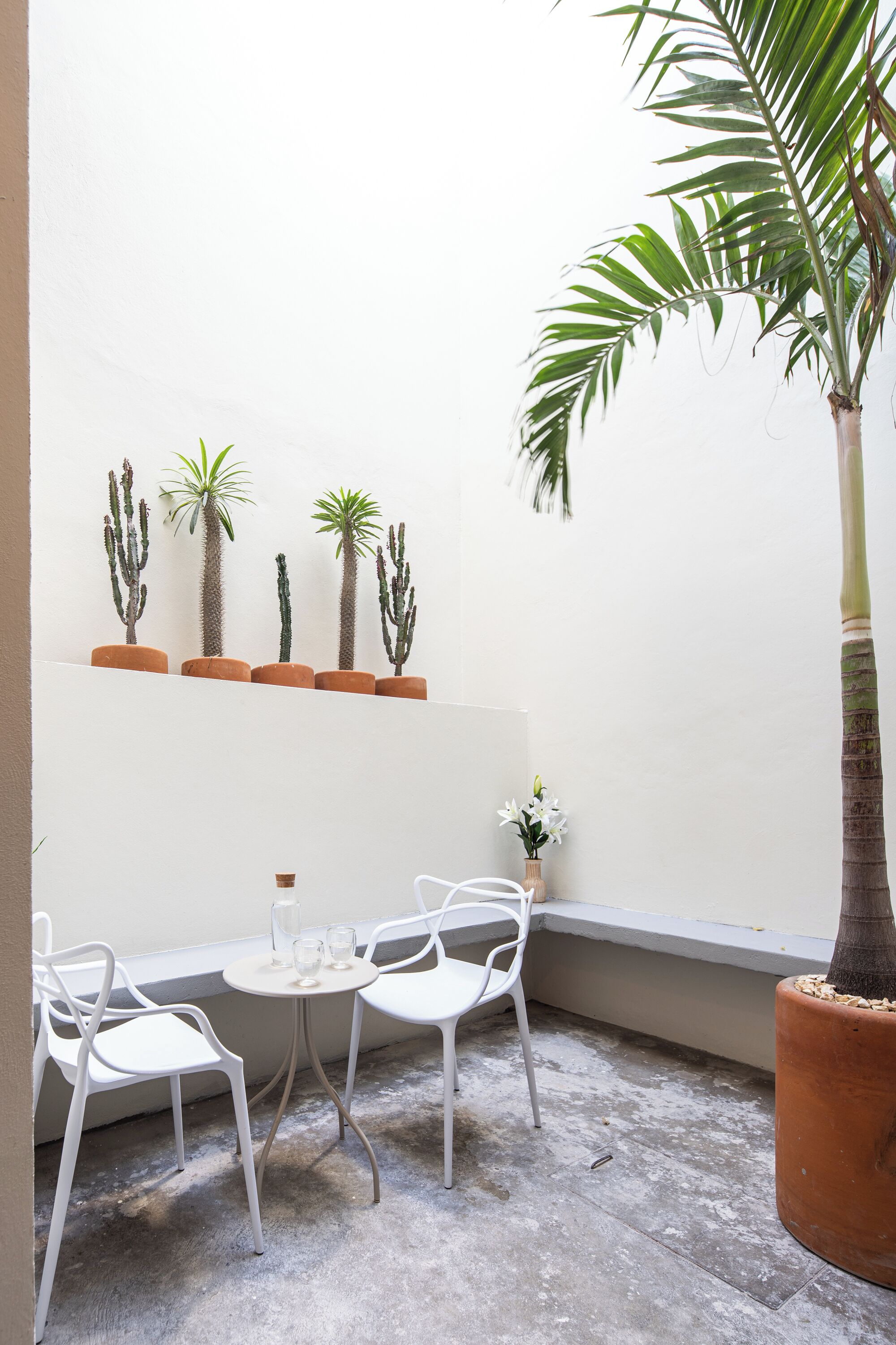 Um pequeno pátio com cadeiras e mesa brancas, uma planta em vaso e uma fileira de cactos numa parede branca.