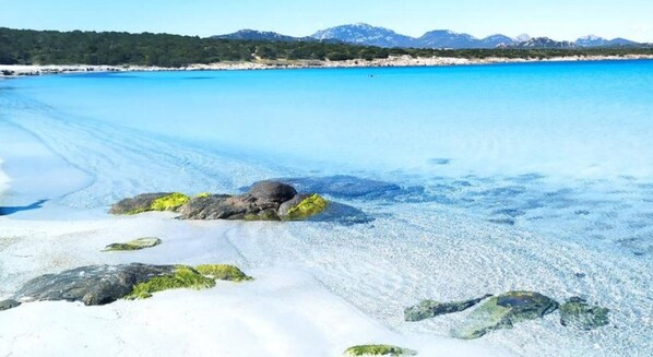 Apartamento, 1 quarto, para fumantes | Praia