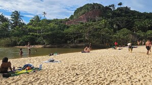Uma praia arenosa com pessoas tomando sol e nadando, rodeada por vegetação exuberante e uma colina ao fundo.