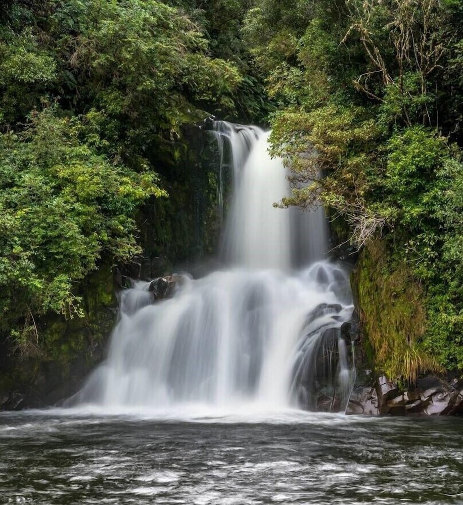 Blackfern Lodge - New Zealand