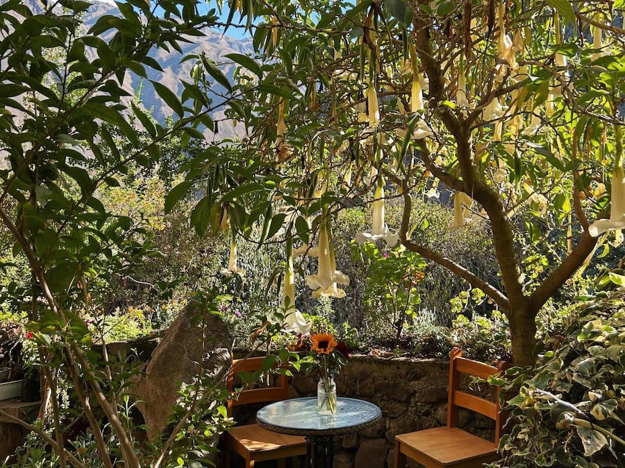 Terraço/pátio
