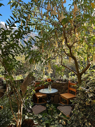 Sara Garden Lodge