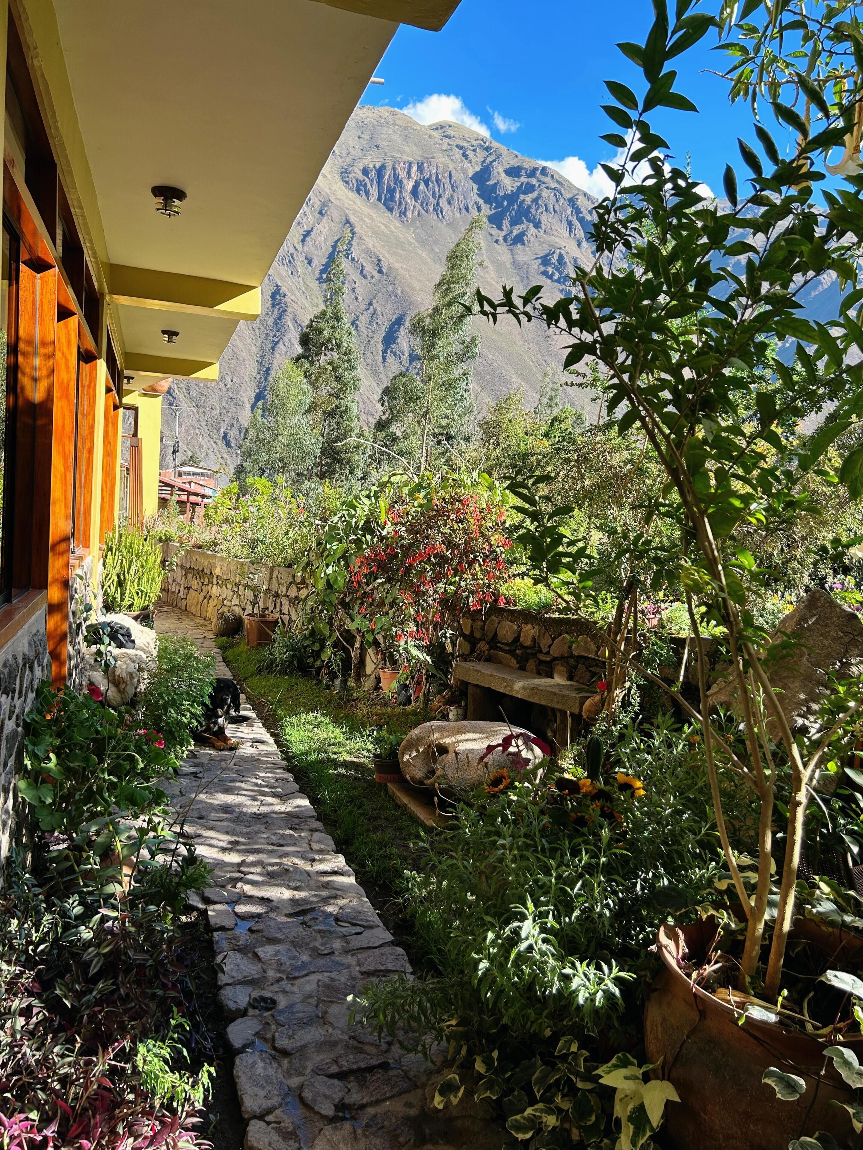 Terraço/pátio interior