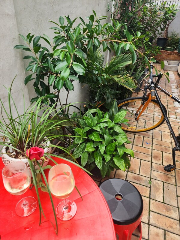 Disco Pangpang Guesthouse (Foreigners Only) - Seoul