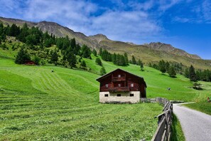 Apartamento, 2 quartos, varanda, vista para o jardim | Exterior