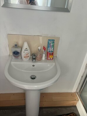 Apartamento | Banheiro | Chuveiro, secador de cabelo, toalhas de banho, papel higiênico