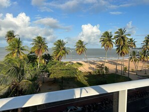 Vista da praia com palmeiras e céu claro.