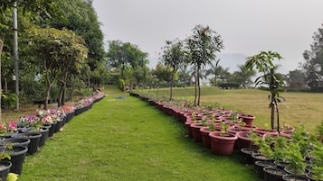 Mountain View Cottage | Frigobar, escrivaninha, espaço de trabalho para notebook