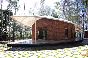 Tratamentos corporais, reflexologia 