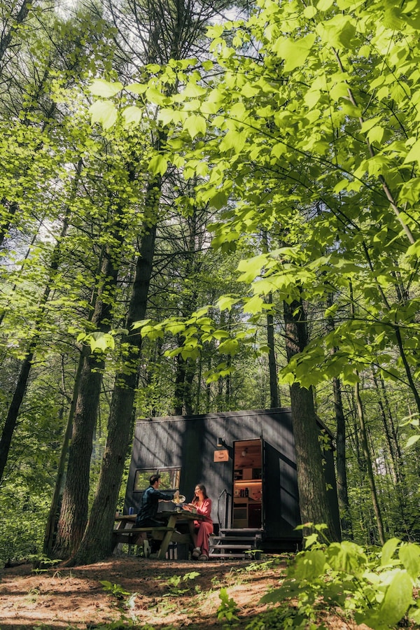 Postcard Cabins Kettle River, Outdoor Collection By Marriott Bonvoy - Banning State Park, Sandstone