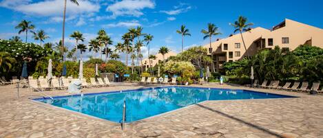 Piscina com espreguiçadeiras e palmeiras, cercada por um espaço pavimentado em pedra e um edifício com telhado plano.