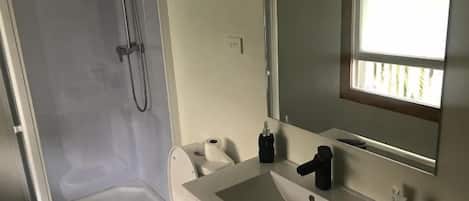 Casa de banho com chuveiro, sanita, lavatório e espelho.