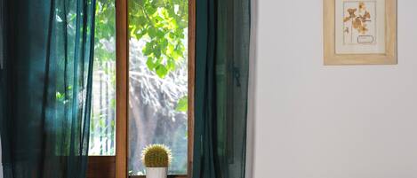 Uma janela com um cacto em vaso, cortinas leves e uma impressão botânica emoldurada na parede.
