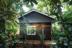 Uma pequena casa de madeira escura rodeada por vegetação exuberante.