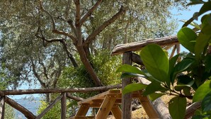 Uma estrutura de deck de madeira com vista para um lago e árvores ao fundo.