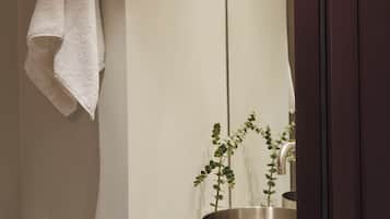 Deluxe Suite Semi-Basement | Casa de banho | Um polibã, toalhas fornecidas, sabão, champô