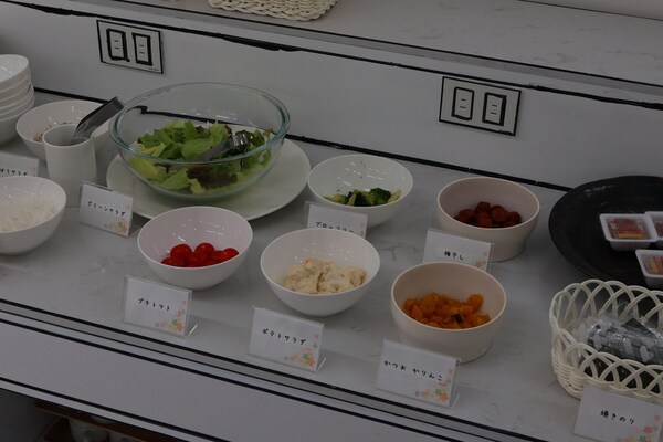 Fuji Outlet Hot Spring Hotel - 고텐바시