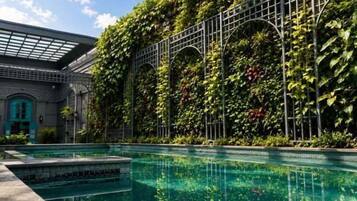 Piscina externa