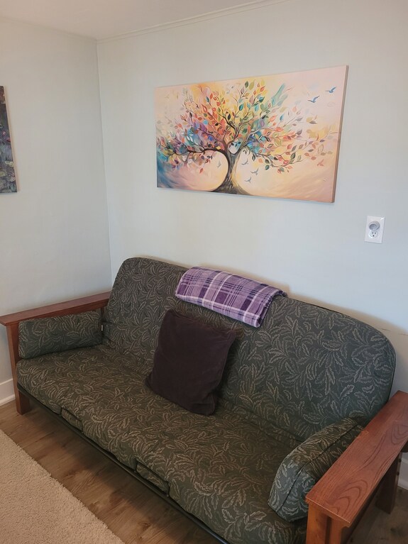 The Lily Pad On Benzie Blvd. - Super Cute And Great Location! Central Air Conditioning! - Michigan