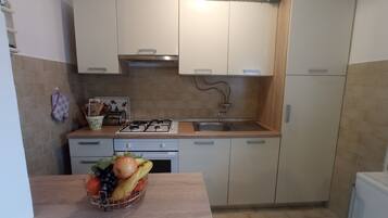 Apartamento (Two Bedroom Apartment) | Cozinha privada | Um frigorífico