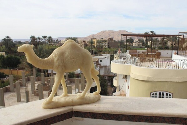 Apartamento Deluxe, varanda, Vista para a cidade | Terraço/pátio interior