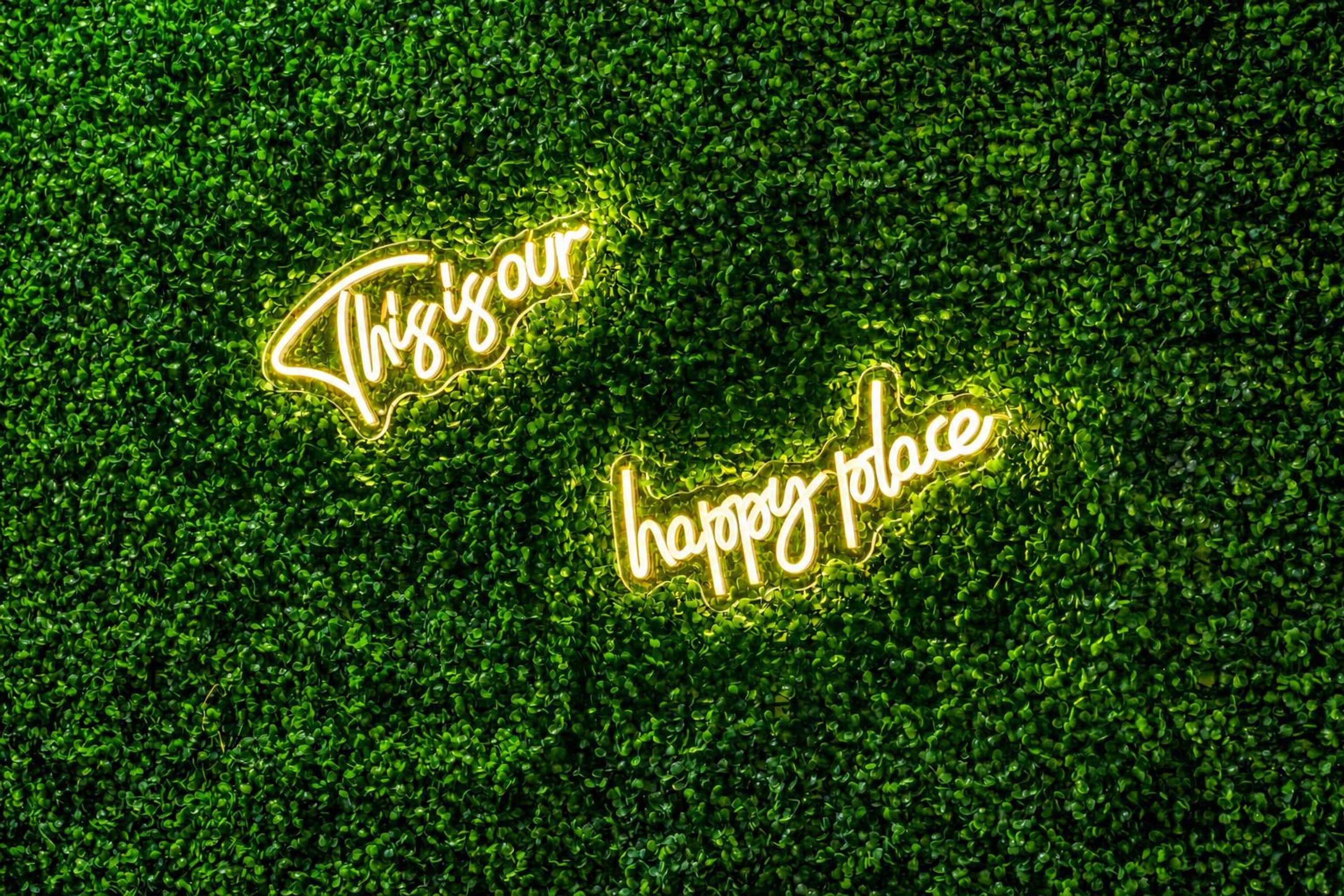 Dois letreiros de neon sobre um fundo verde texturizado.