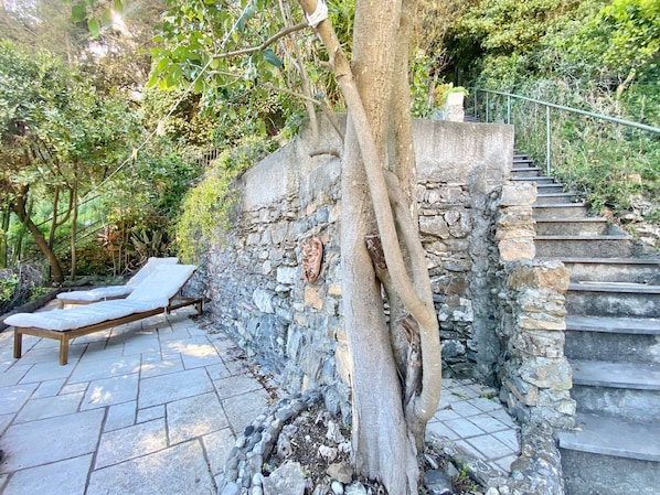 Apartamento, vista para o jardim | Terraço/pátio interior