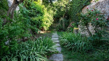 Jardim