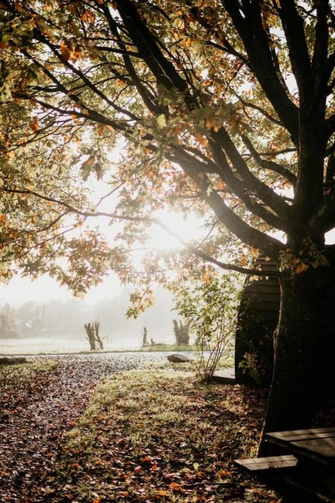 Caplor Glamping And Lodges - Gloucestershire