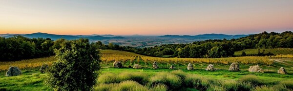 Valdonica Winery - Chill In Nature Lodge - Grosseto