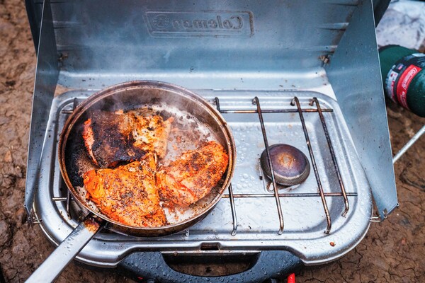 Tal-adventures Lodge - Alaska