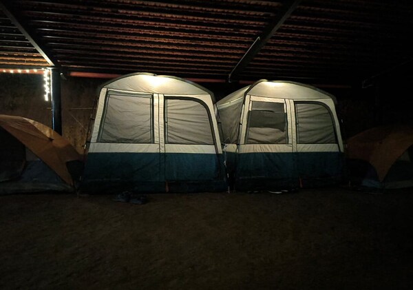 Laughing Elephants - Karnataka