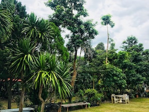 Jardim
