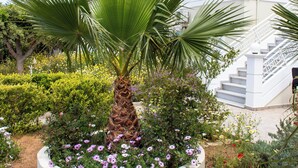 Um jardim com palmeira e flores, um prédio branco com varanda e uma escadaria.