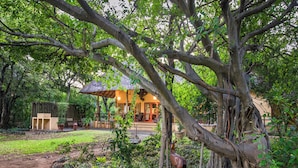 Uma casa na árvore com telhado de palha, rodeada por vegetação exuberante e um caminho de terra.