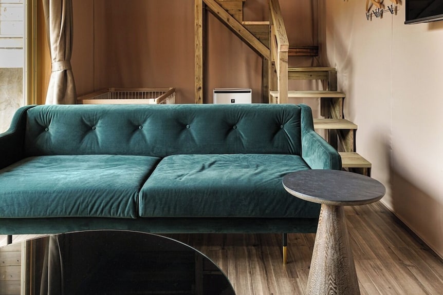 Dog Sweet Base Dinner And Breakfast Included G / Ashigarashimo District Kanagawa - 도쿄도