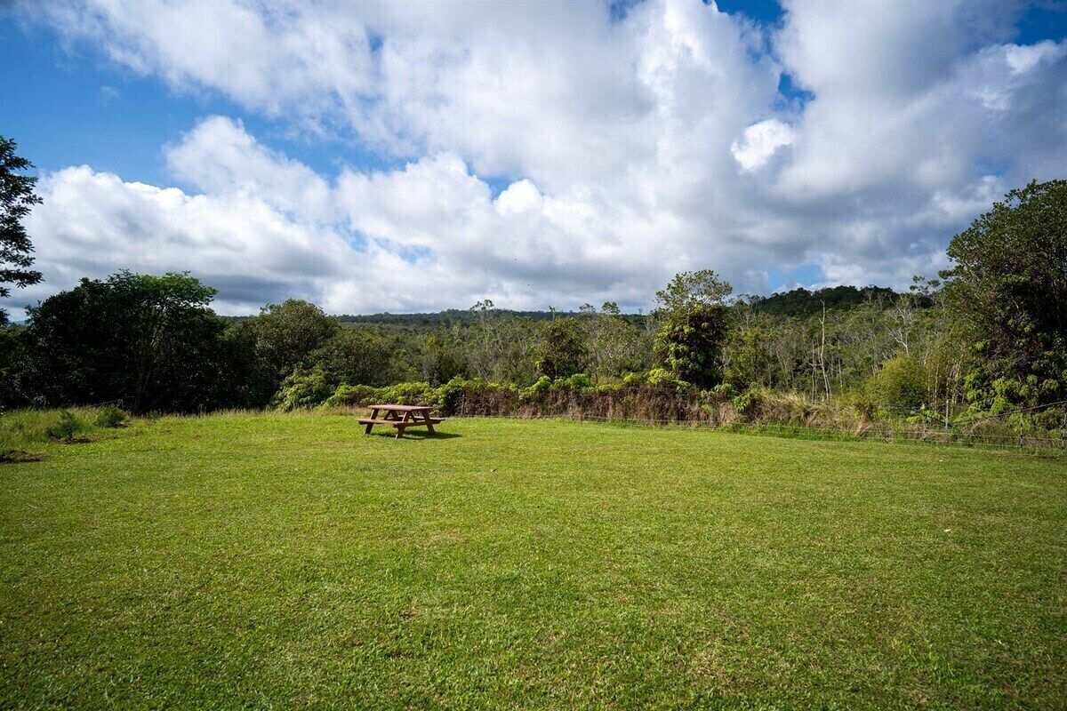 Uma mesa de piquenique em um campo gramado, com árvores ao fundo.