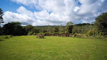 Uma mesa de piquenique em um campo gramado, com árvores ao fundo.