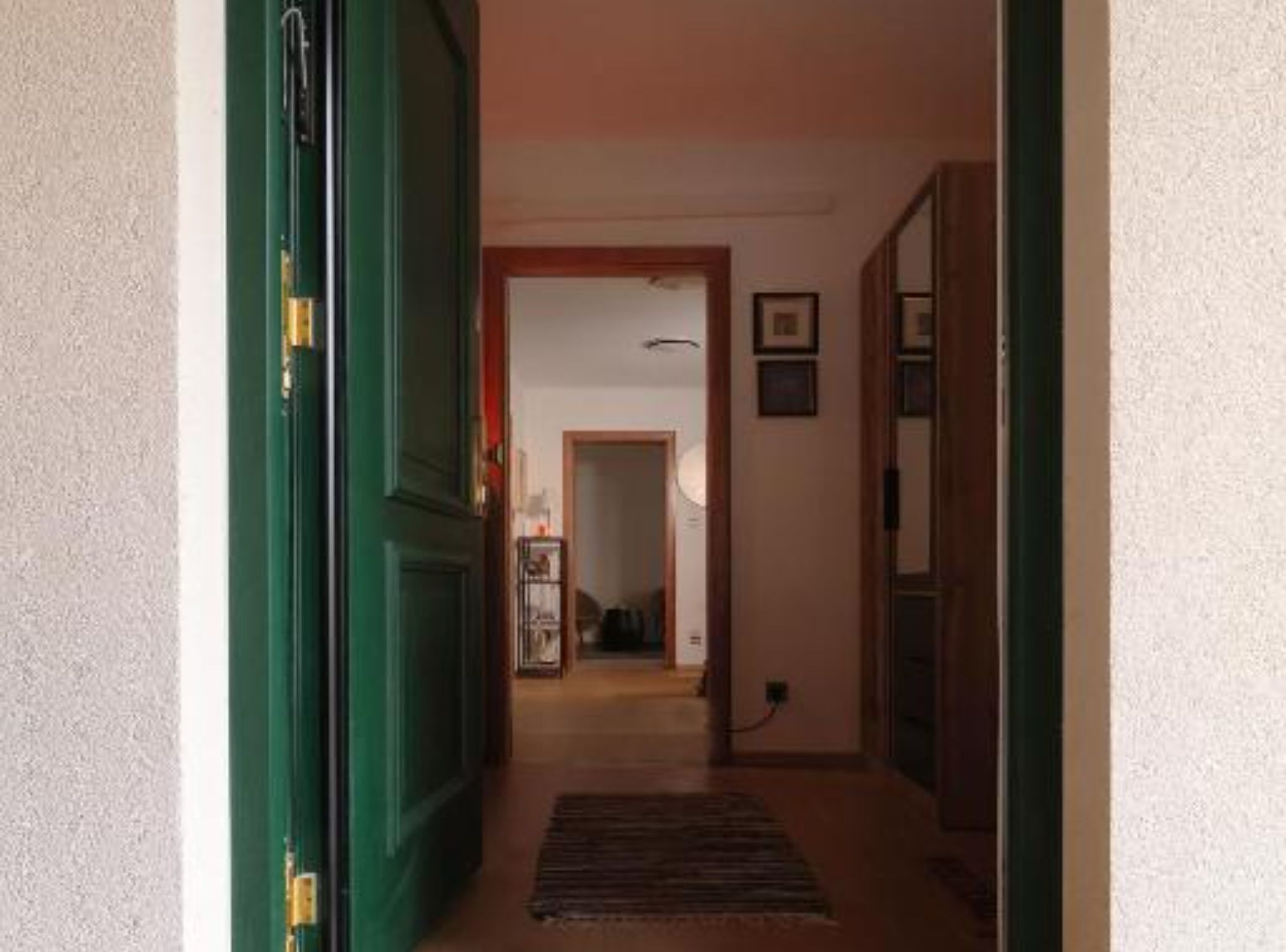 Um corredor com uma porta verde, um tapete e um quadro pendurado na parede.
