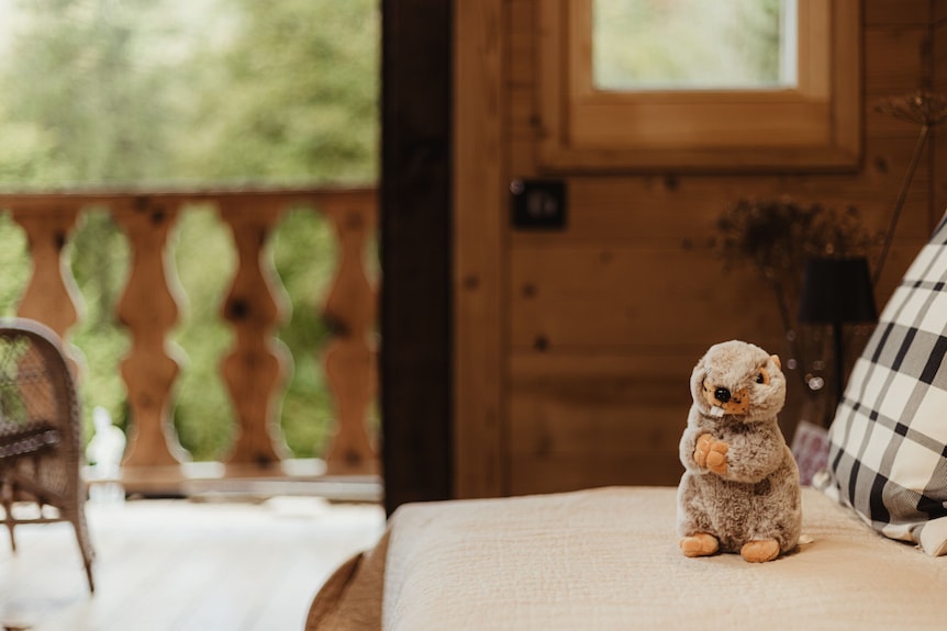Mazot Du Criou - Samoëns Con Vistas A La Montaña, Terraza Y Jardín Privados - Samoëns