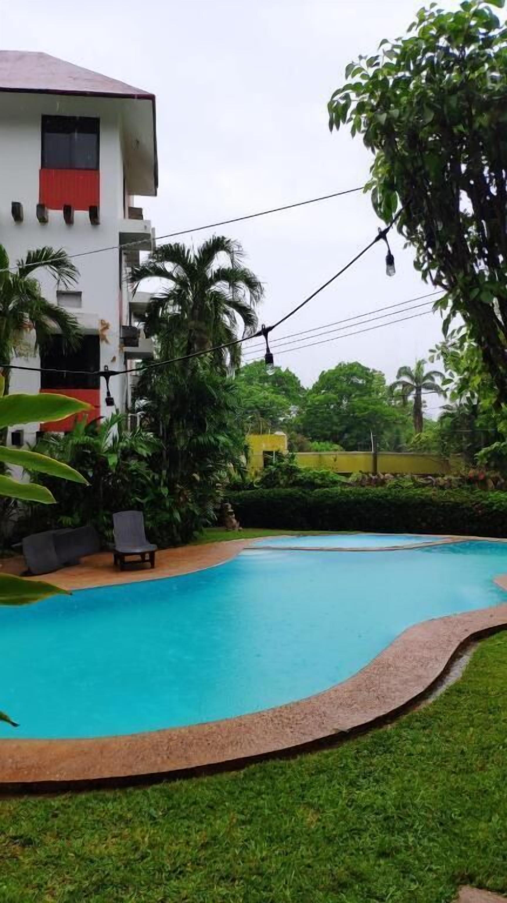 Piscina com borda curva, rodeada por um gramado bem cuidado e plantas tropicais.