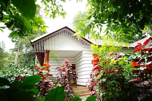 Uma casa tradicional com telhado inclinado e varanda de madeira, cercada por vegetação exuberante e diversas plantas.