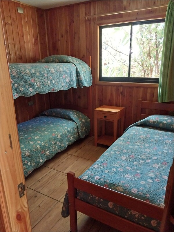 Cabañas Amatista Neltume - Los Ríos